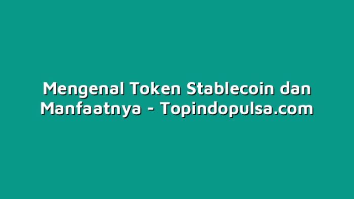 Mengenal Token Stablecoin dan Manfaatnya